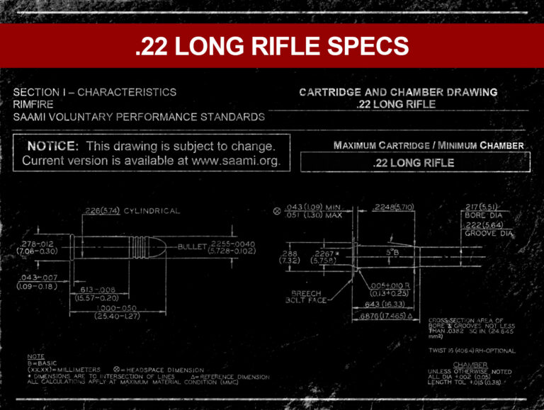22LR VS 223: A Tale Of Two Calibers - Wideners Shooting, Hunting & Gun Blog