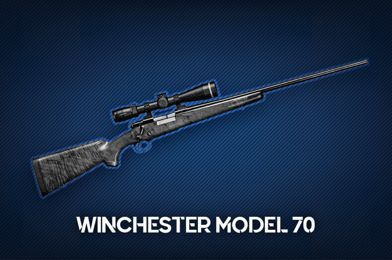 Best 308 Bolt-Action Rifle - Wideners Shooting, Hunting & Gun Blog