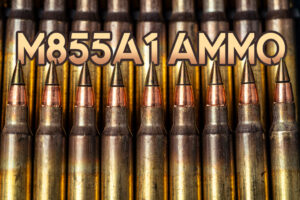M855A1: Enhanced Performance Round - Wideners Shooting, Hunting & Gun Blog