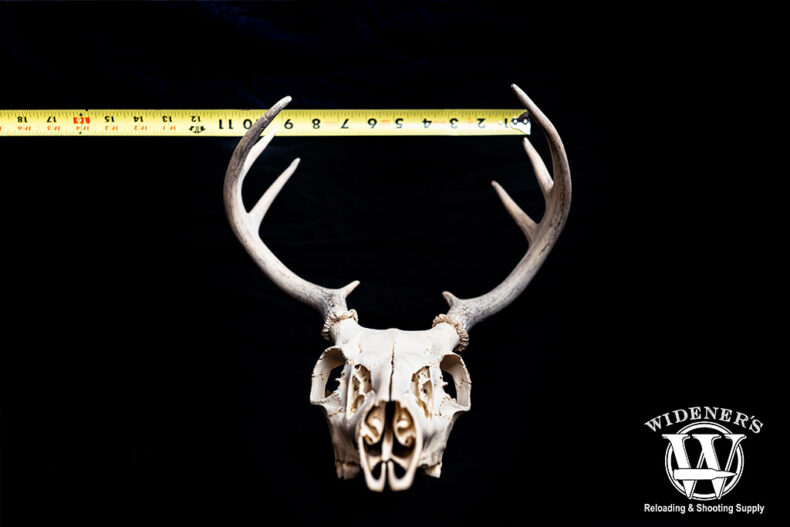 Scoring A Buck - Wideners Shooting, Hunting & Gun Blog