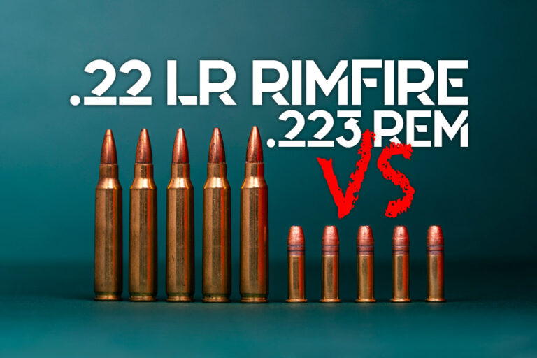 22LR VS 223: A Tale Of Two Calibers - Wideners Shooting, Hunting & Gun Blog