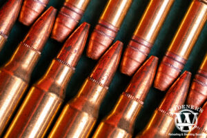 22LR VS 223: A Tale Of Two Calibers - Wideners Shooting, Hunting & Gun Blog