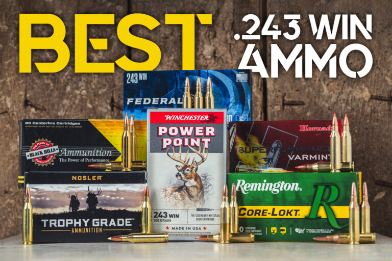 Best 243 Ammo - Wideners Shooting, Hunting & Gun Blog