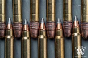 17 HMR VS 22LR - Wideners Shooting, Hunting & Gun Blog