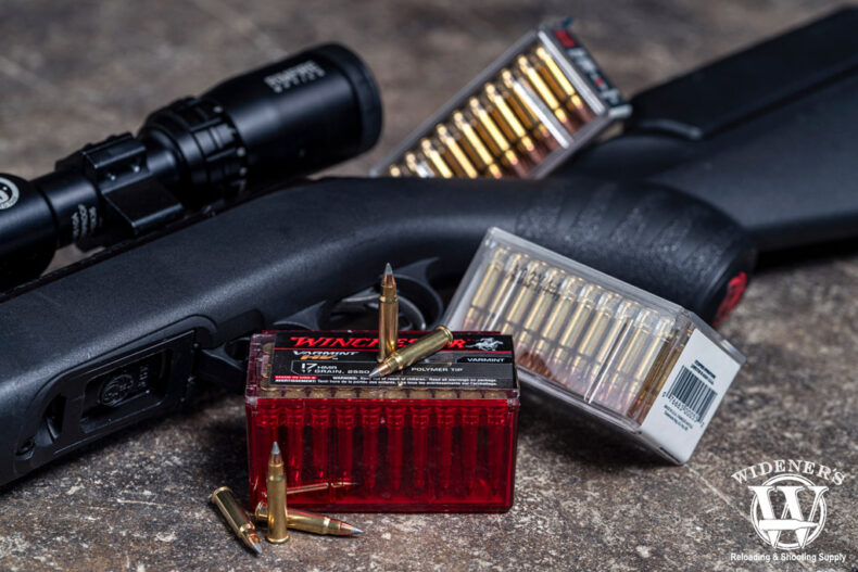 17 HMR VS 22LR - Wideners Shooting, Hunting & Gun Blog