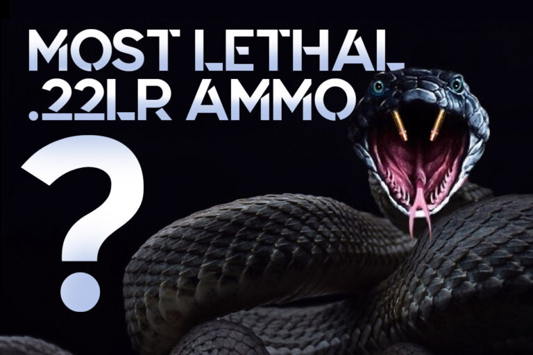 Most Lethal 22LR Ammo - Wideners Shooting, Hunting & Gun Blog
