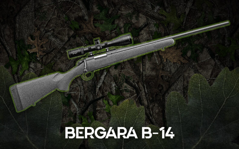 308 Hunting Rifle - What's Best For You?
