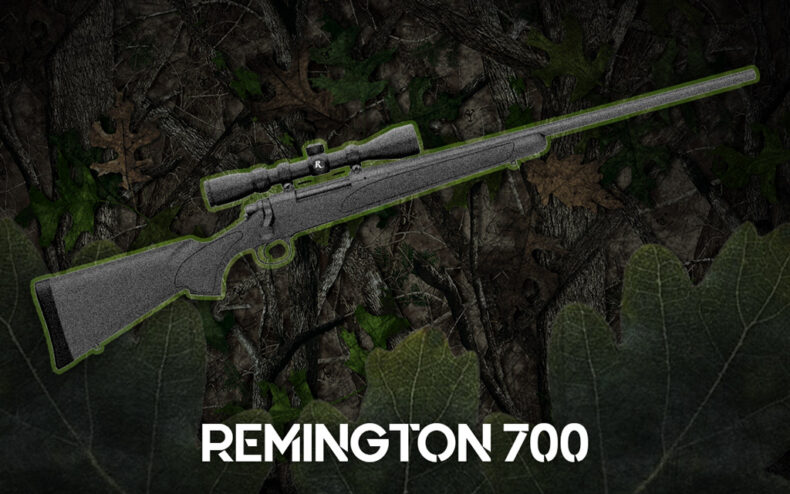 308 Hunting Rifle - What's Best For You?