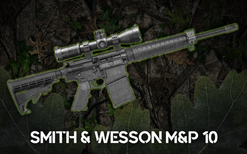 308 Hunting Rifle - What's Best For You?