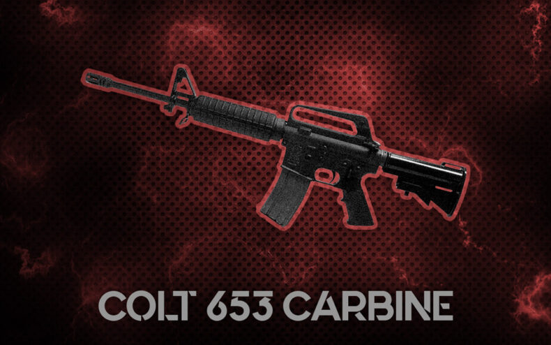 Terminator Guns - Wideners Shooting, Hunting & Gun Blog