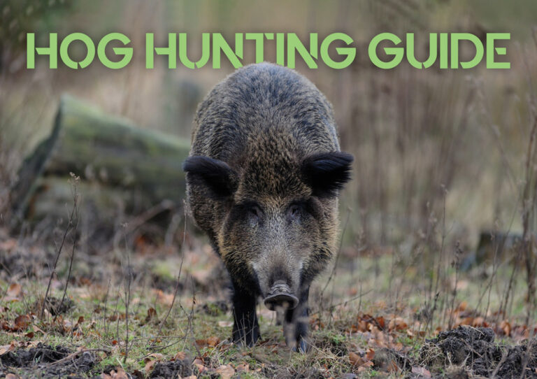 Hog Hunting Guide - Wideners Shooting, Hunting & Gun Blog