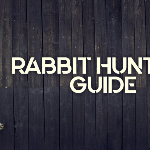 NRL22 Competition Guide - How Does The League Work?