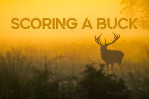Scoring A Buck - Wideners Shooting, Hunting & Gun Blog