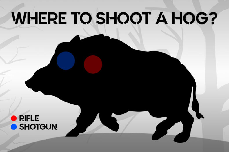 Hog Hunting Guide - Wideners Shooting, Hunting & Gun Blog